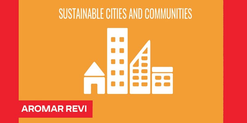 What Would a UN-Country-City Partnership Look Like? w/ Aromar Revi ...
